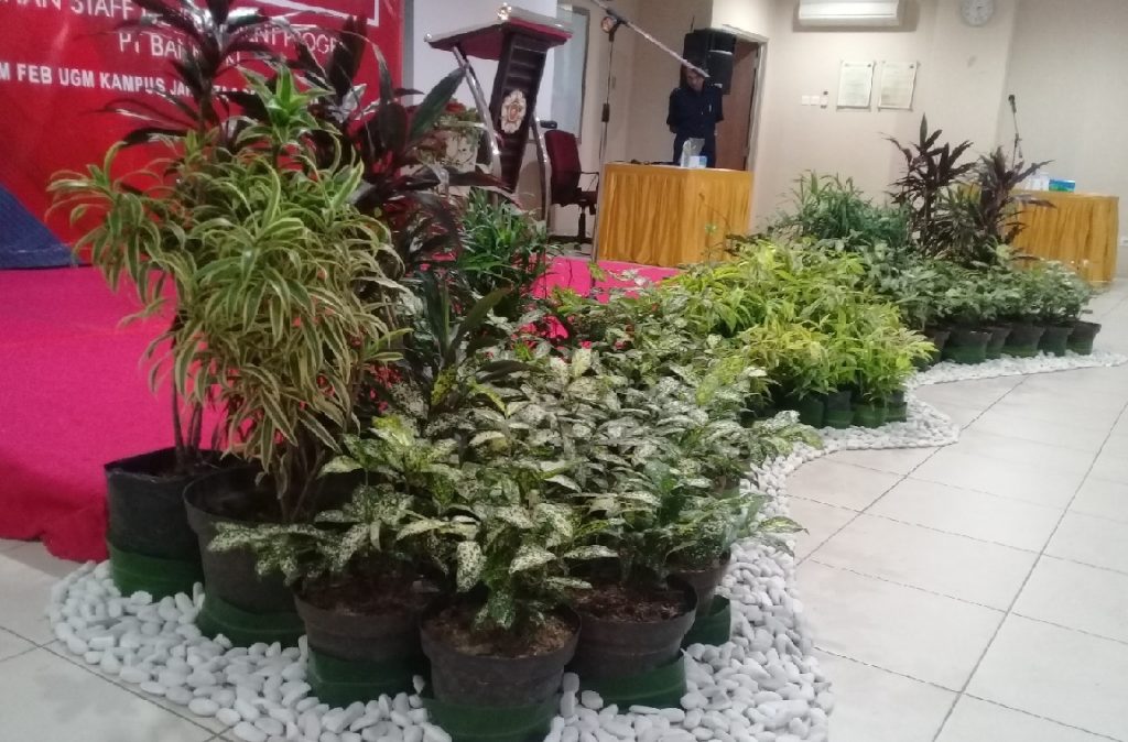 tanaman dekorasi Panggung